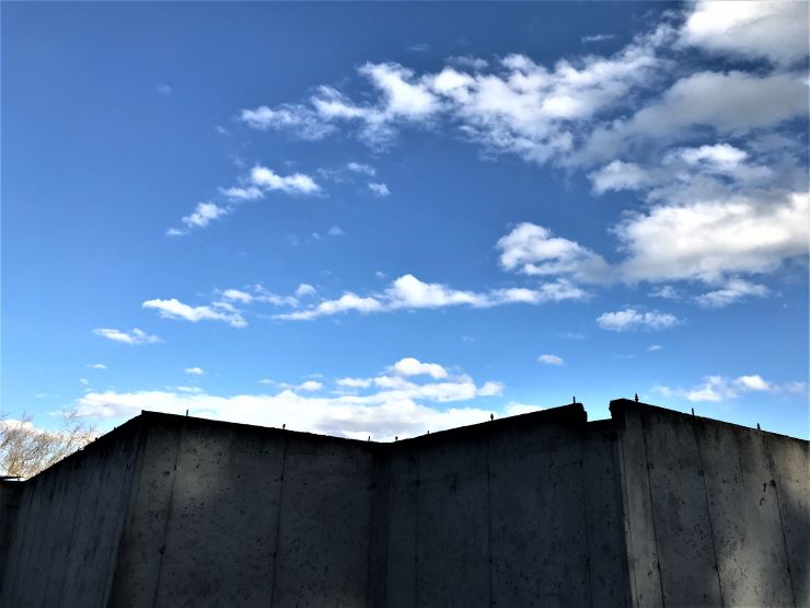 Now Is Everything – Buddha Mind