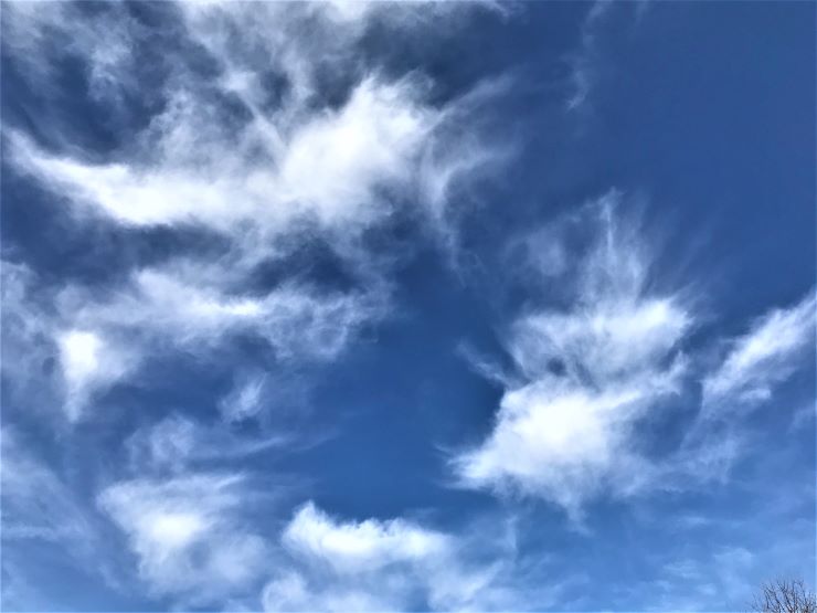 Egoless – Buddha Mind