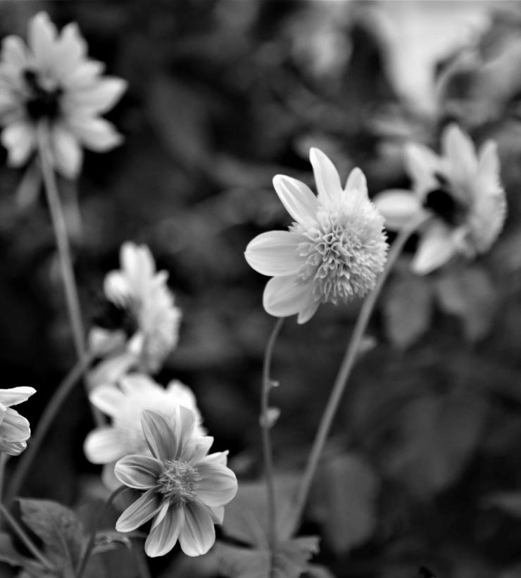 The Surangama Sutra: Chapter Two – Section 3 – Buddha Mind